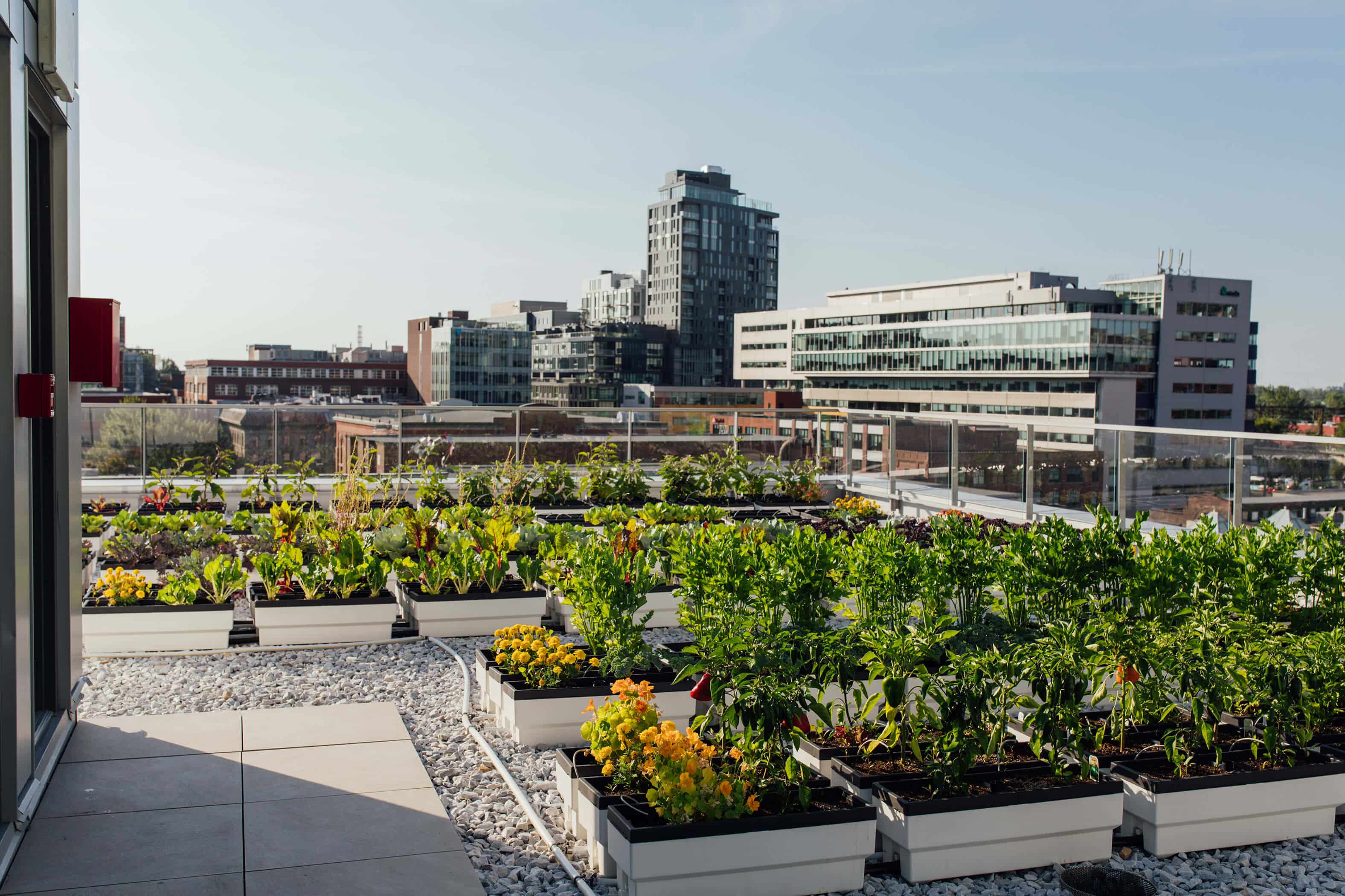 L'expertise de Prével | Promoteur immobilier Montréal